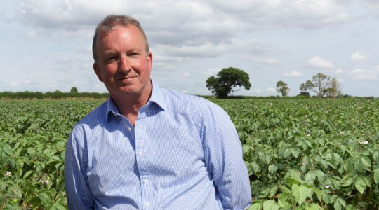 Potato blog | Potato and field vegetable nutrition and agronomy advice ...