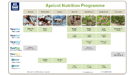 Apricot crop nutrition programme | Yara Kenya